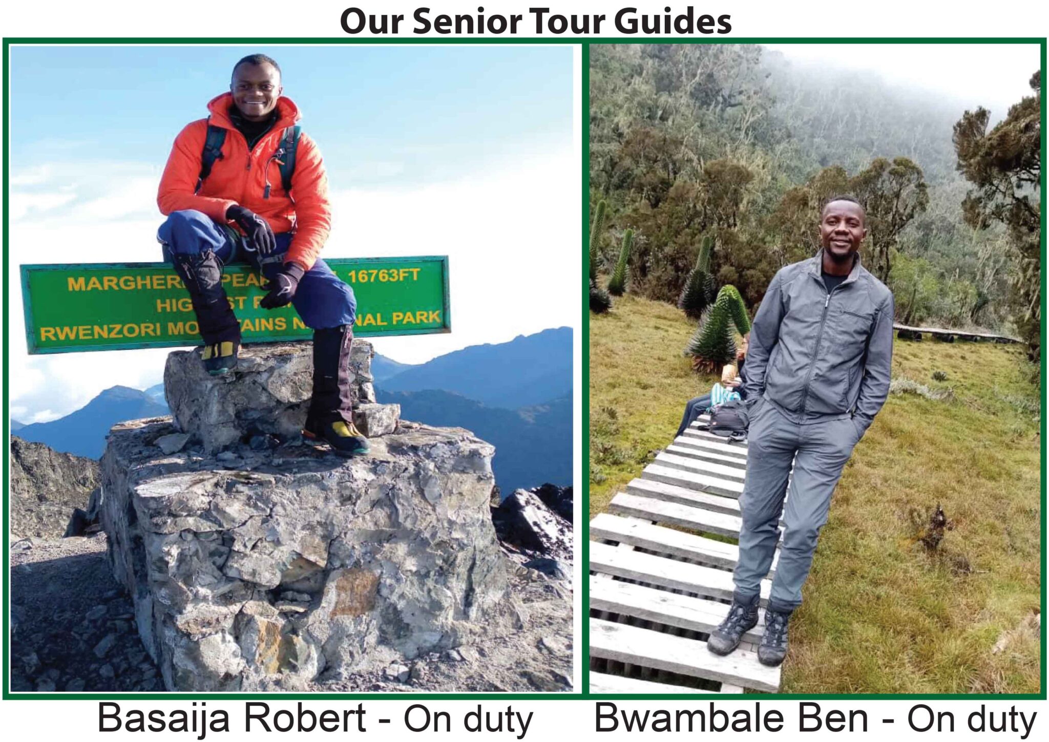 Nature walks and Tour guiding services - Rwenzori-development